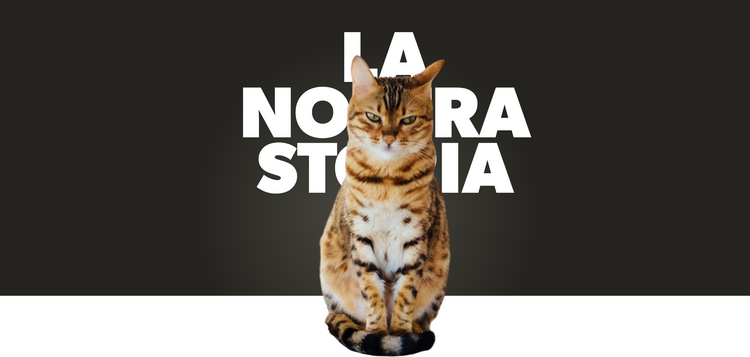 La nostra storia – Boring Litter